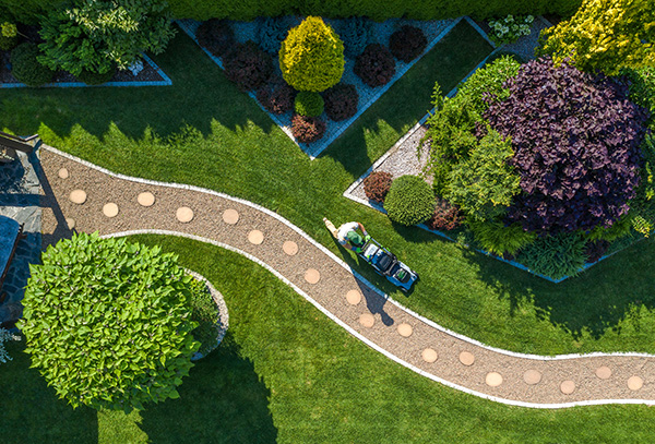  Proper Mowing Techniques Paramount Landscaping