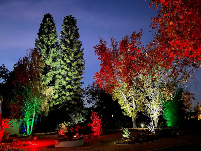 Christmas Landscape Lights: For the Easiest Season Yet - Paramount ...