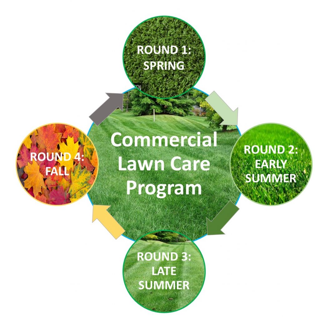 Commercial Lawn Care Program - Paramount Landscaping