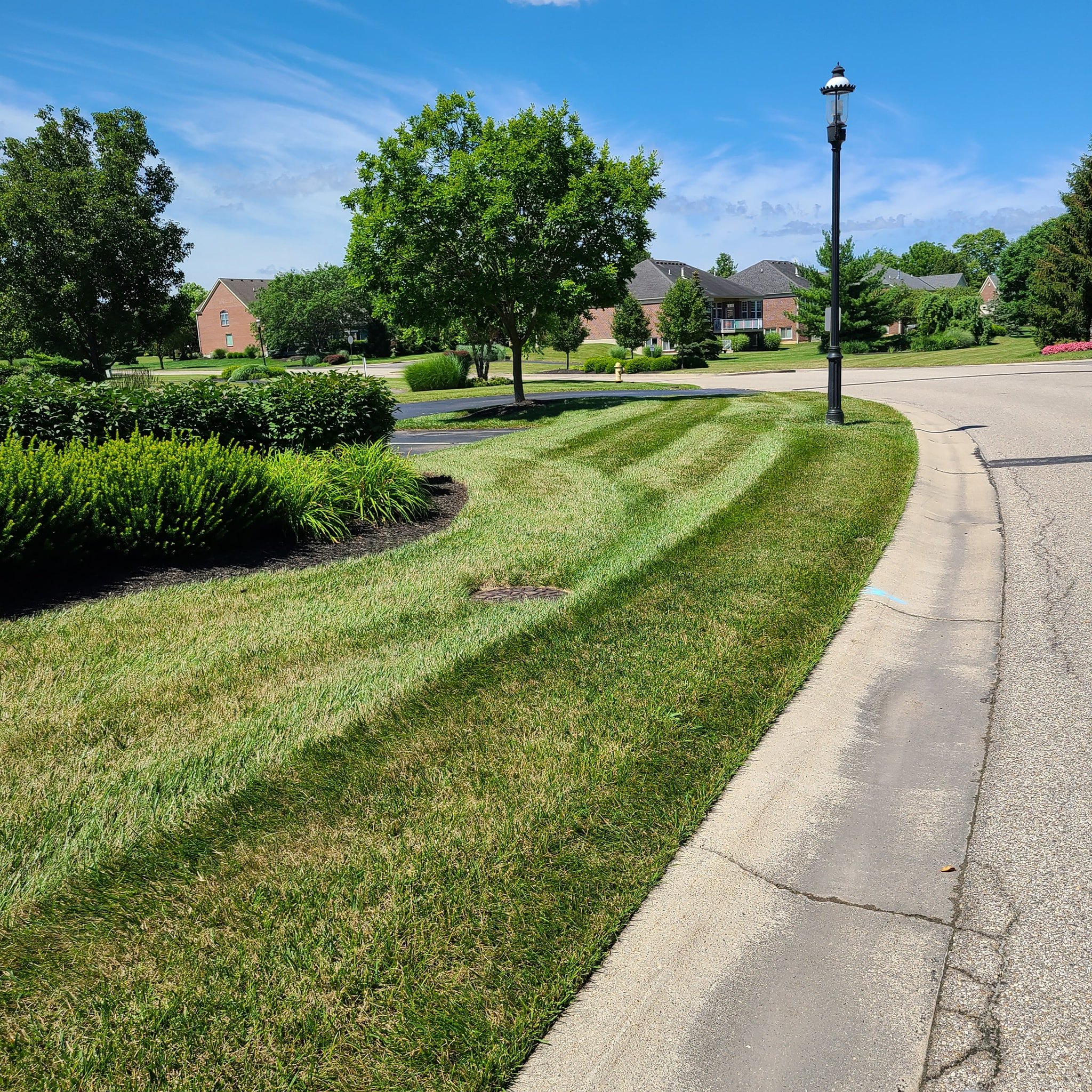 Commercial Lawn Fertilizer Services in Cincinnati - Paramount Landscaping