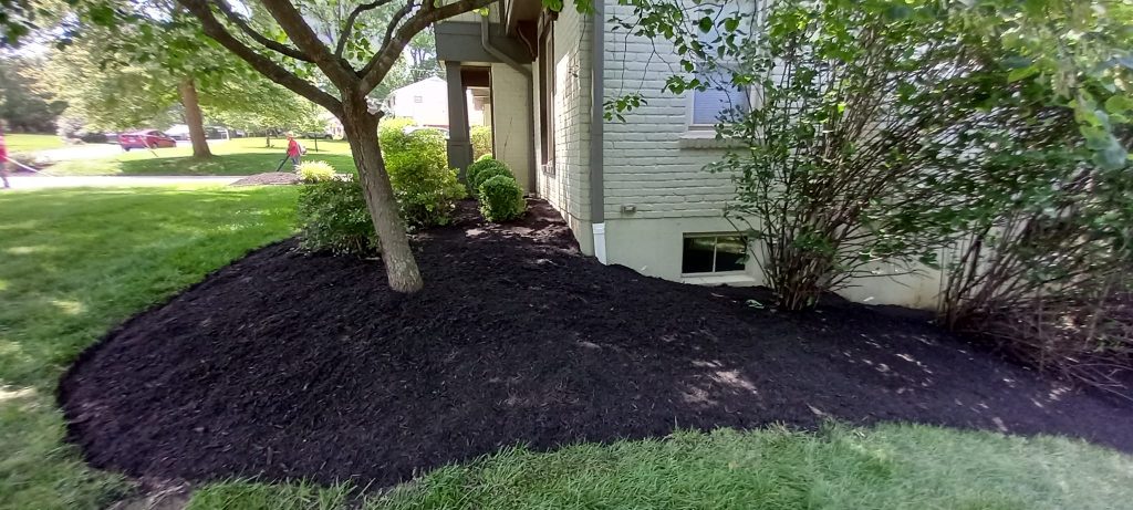10 Reasons to Mulch Your Garden Beds - Paramount Landscaping