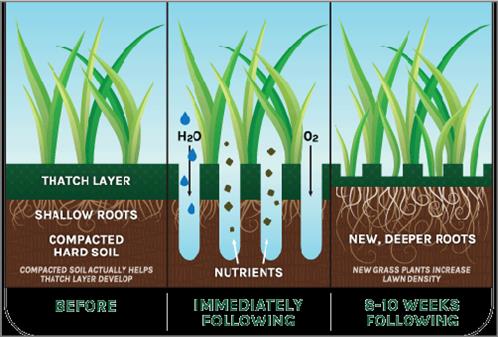Aeration and Overseeding: the Time to Schedule is Now - Paramount ...