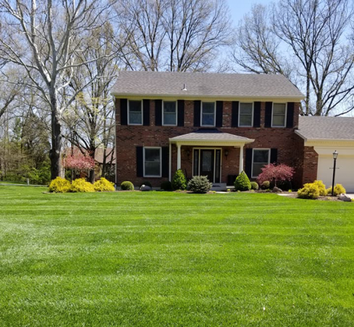 Lawn Fertilizer Schedule for the Midwest’s Greenest Grass - Paramount ...