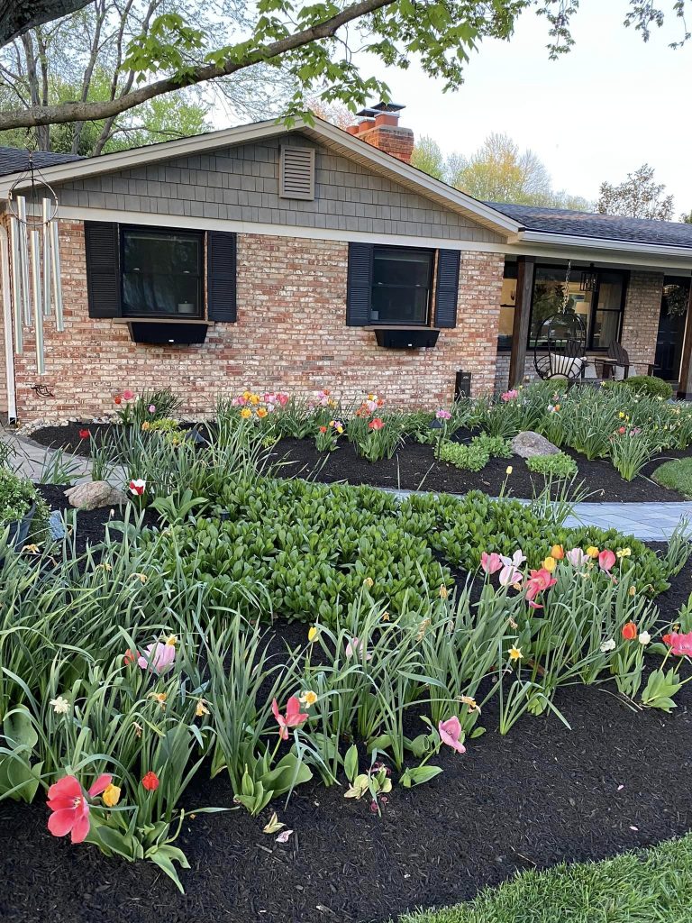 May Newsletter 2023 - Paramount Landscaping