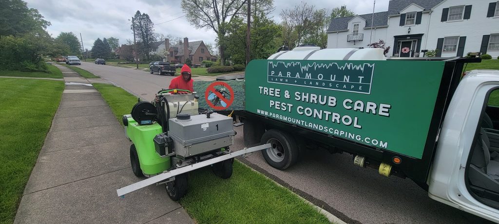 Mosquito and Perimeter Pest Control - Paramount Landscaping