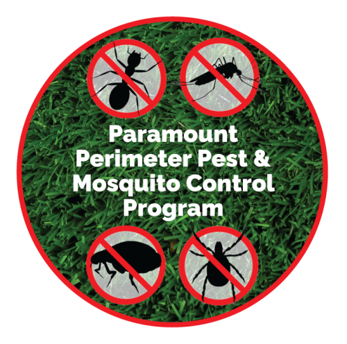 Perimeter Pest and Mosquito Control - Paramount Landscaping