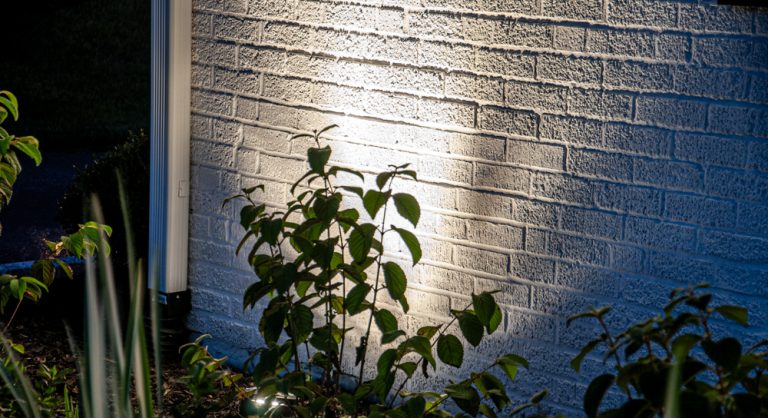 5 Front Yard Lighting Ideas - Paramount Landscaping