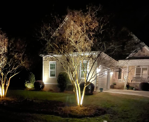 5 Front Yard Lighting Ideas - Paramount Landscaping