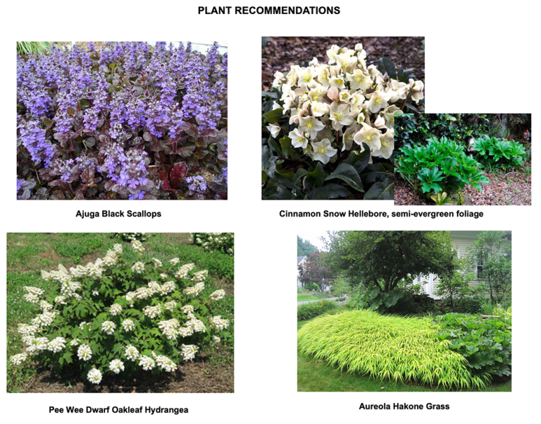 Landscape Architecture: A Real-World Example - Paramount Landscaping