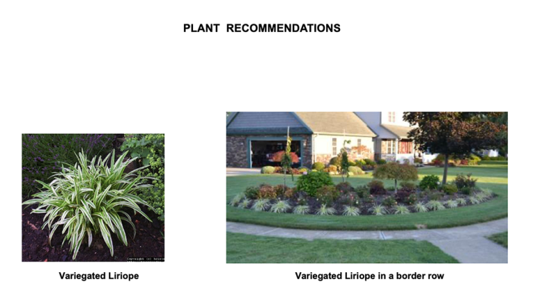 Landscape Architecture: A Real-World Example - Paramount Landscaping