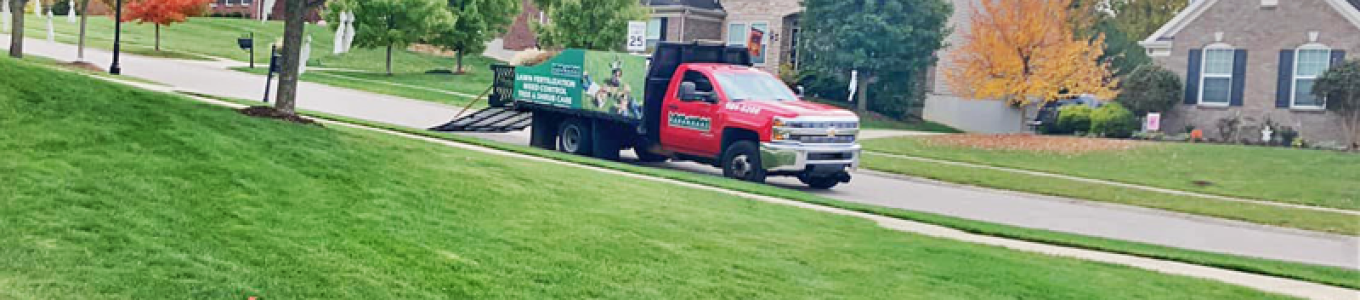 Aeration and Overseeding for Cincinnati Lawns - Paramount Landscaping