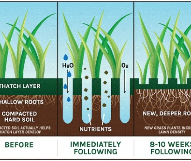 Spring Lawn Aeration for a Healthy Year - Paramount Landscaping