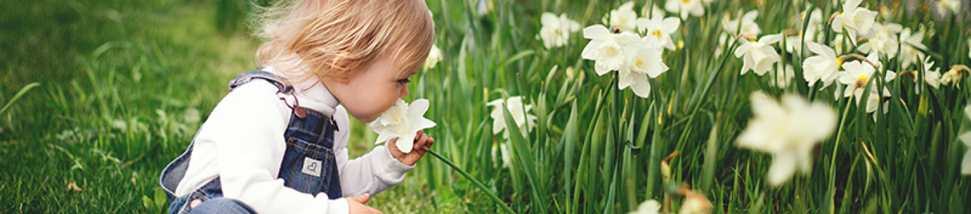 Crabgrass Pre-Emergent: Early Spring is the Best Time - Paramount ...