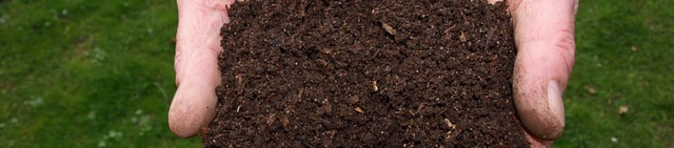 The Four Stages Of Compost – Nutrient Rich Soil For Your Landscape ...