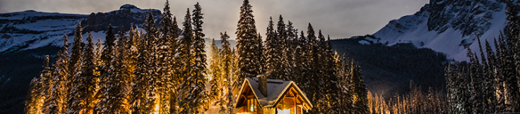 Landscape Lighting in Winter: Now’s the Best Time to Install ...