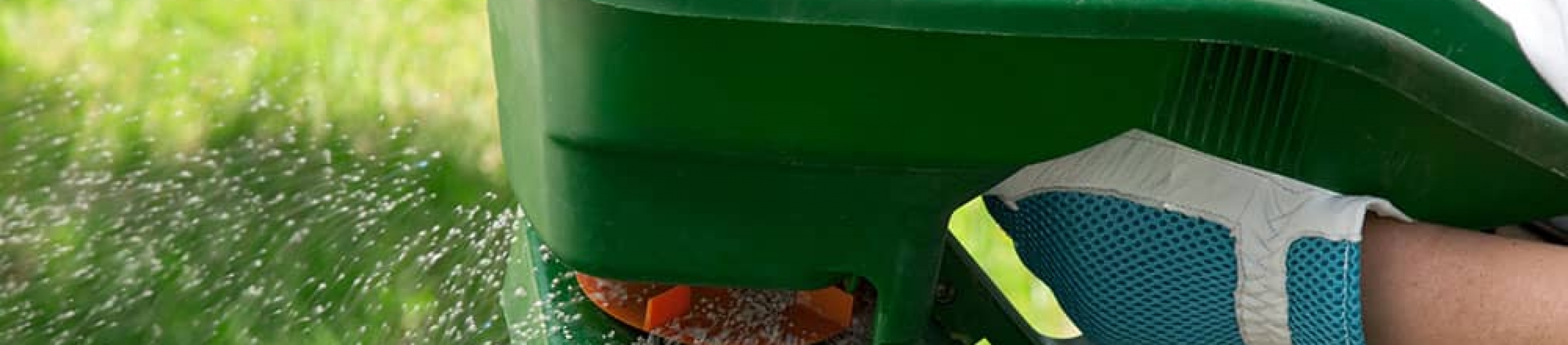 Fall Lawn Fertilization - Paramount Landscaping