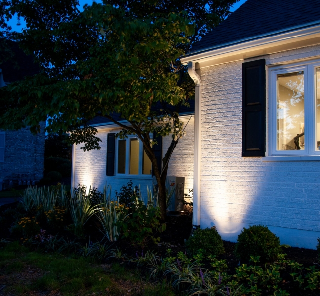 Landscape Lighting Projects - Paramount Landscaping