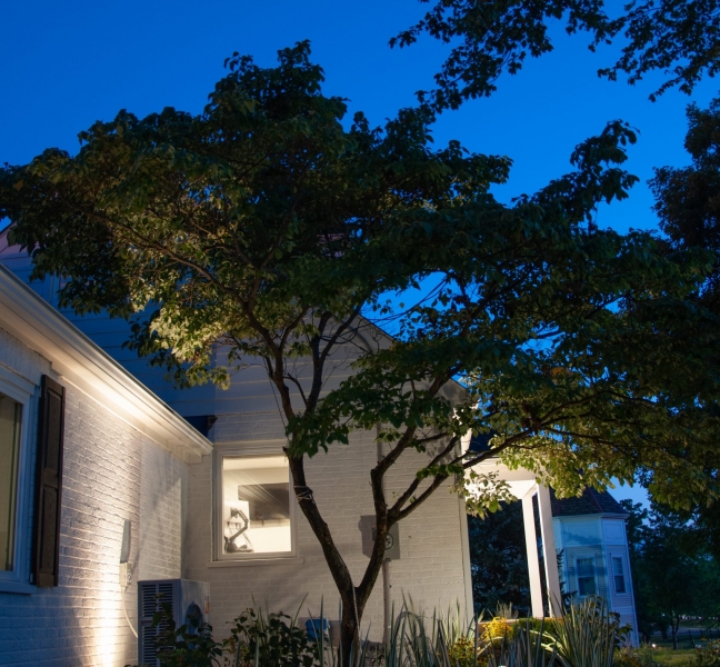 Landscape Lighting Projects - Paramount Landscaping