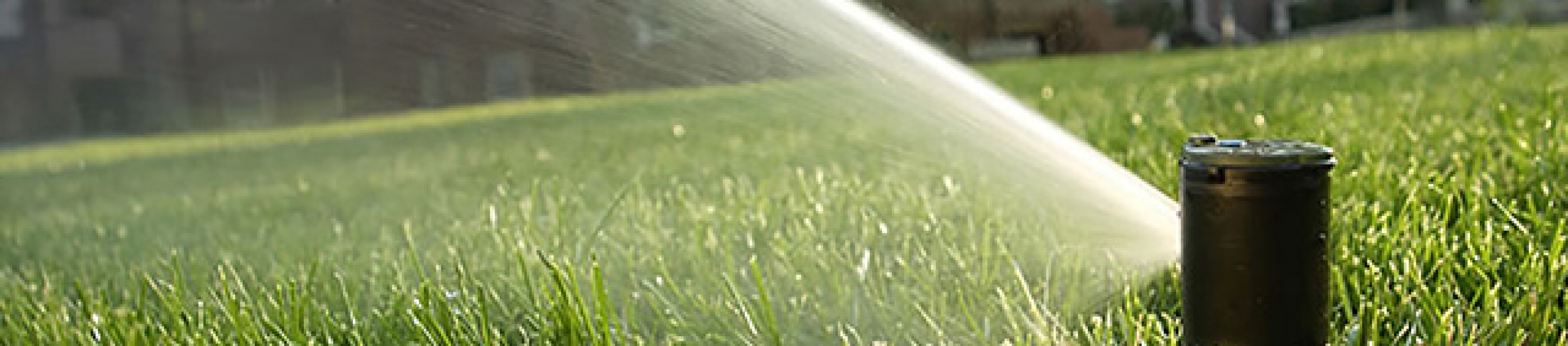 Starting Up Your Sprinkler System - Paramount Landscaping